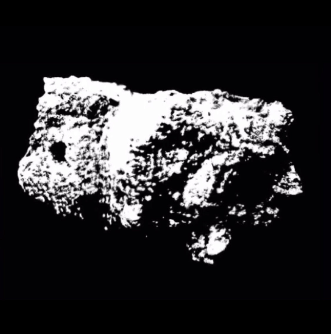 Feces and Body Parts | Fossilized Fecal Matter