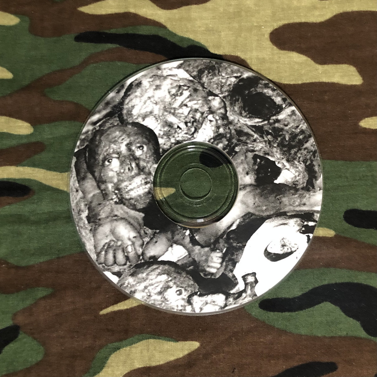 Feces and Body Parts | Fossilized Fecal Matter