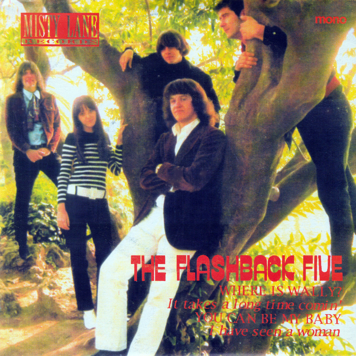 THE FLASHBACK V "Where Is Wally?" | MISTY LANE MUSIC