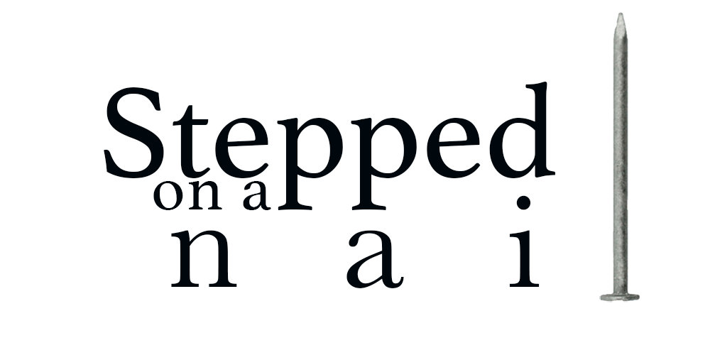 Flight of the Wingless Turtle | Stepped On A Nail