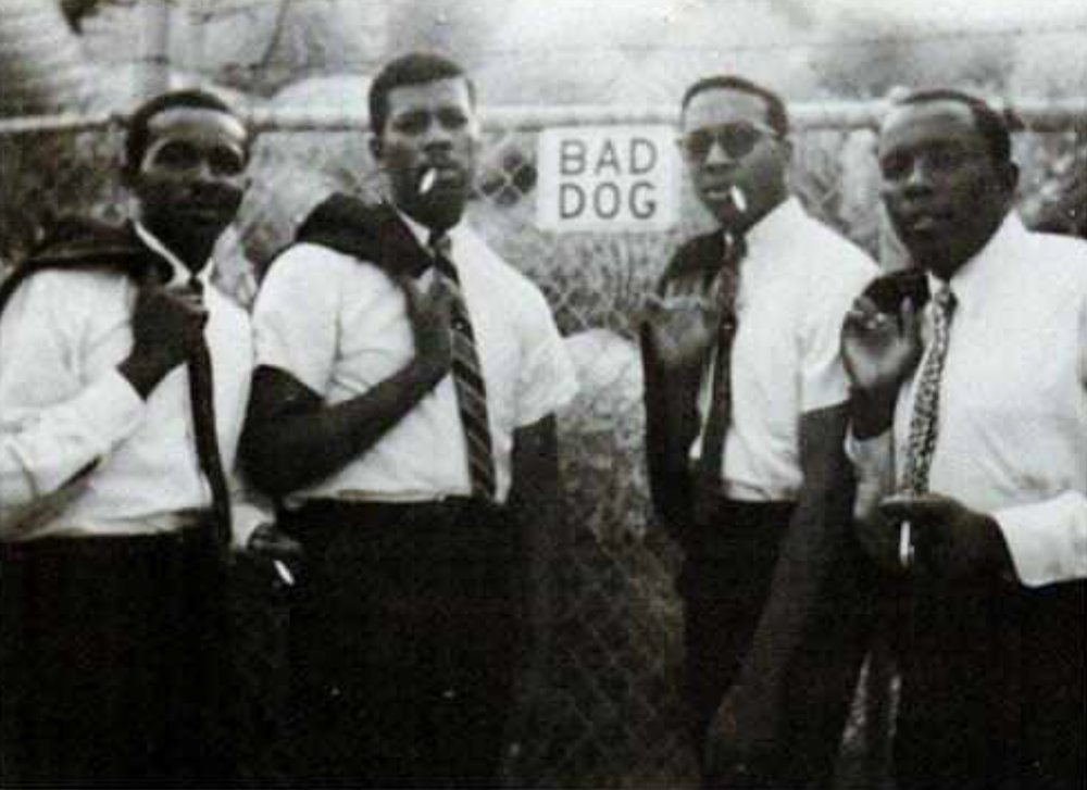 Watch Out They're Tough | The Justifiers