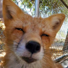 Some Heavy Ocean | Emma Ruth Rundle