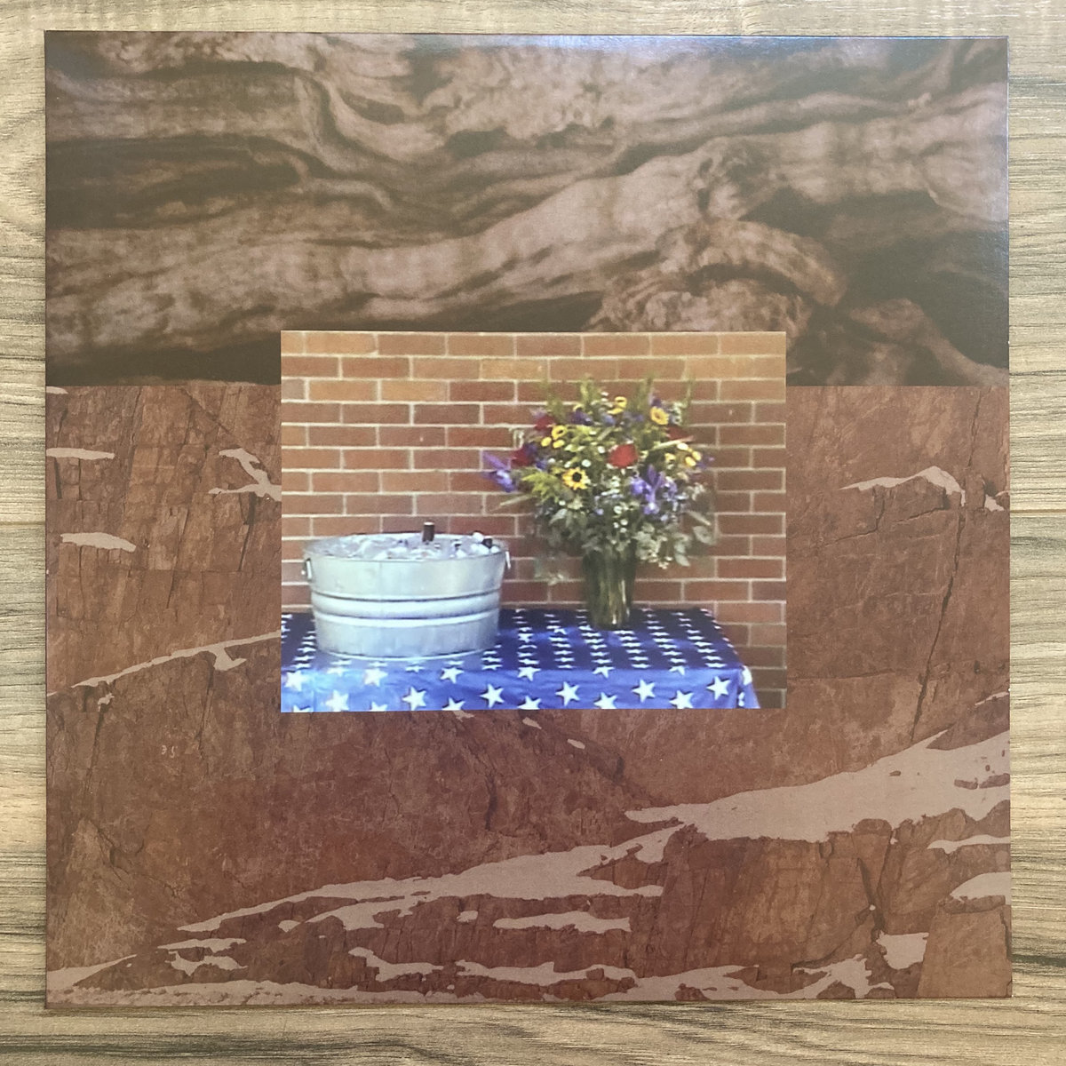 A Cardinal With a Sign of Blood | Andrew Weathers