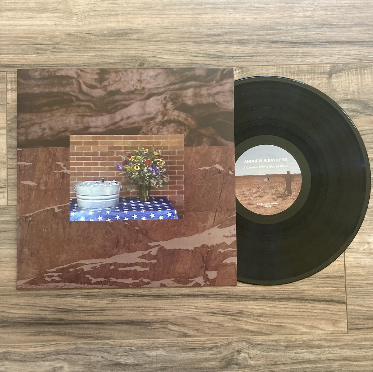 A Cardinal With a Sign of Blood | Andrew Weathers