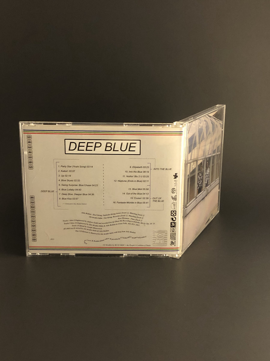 Deep Blue | BLUE DISH | People's Coalition of Tandy