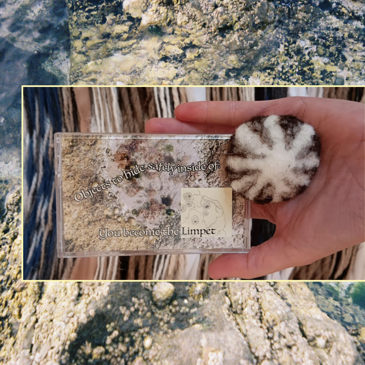 Objects to hide safely inside of: You become the Limpet | Pam Rose Cott