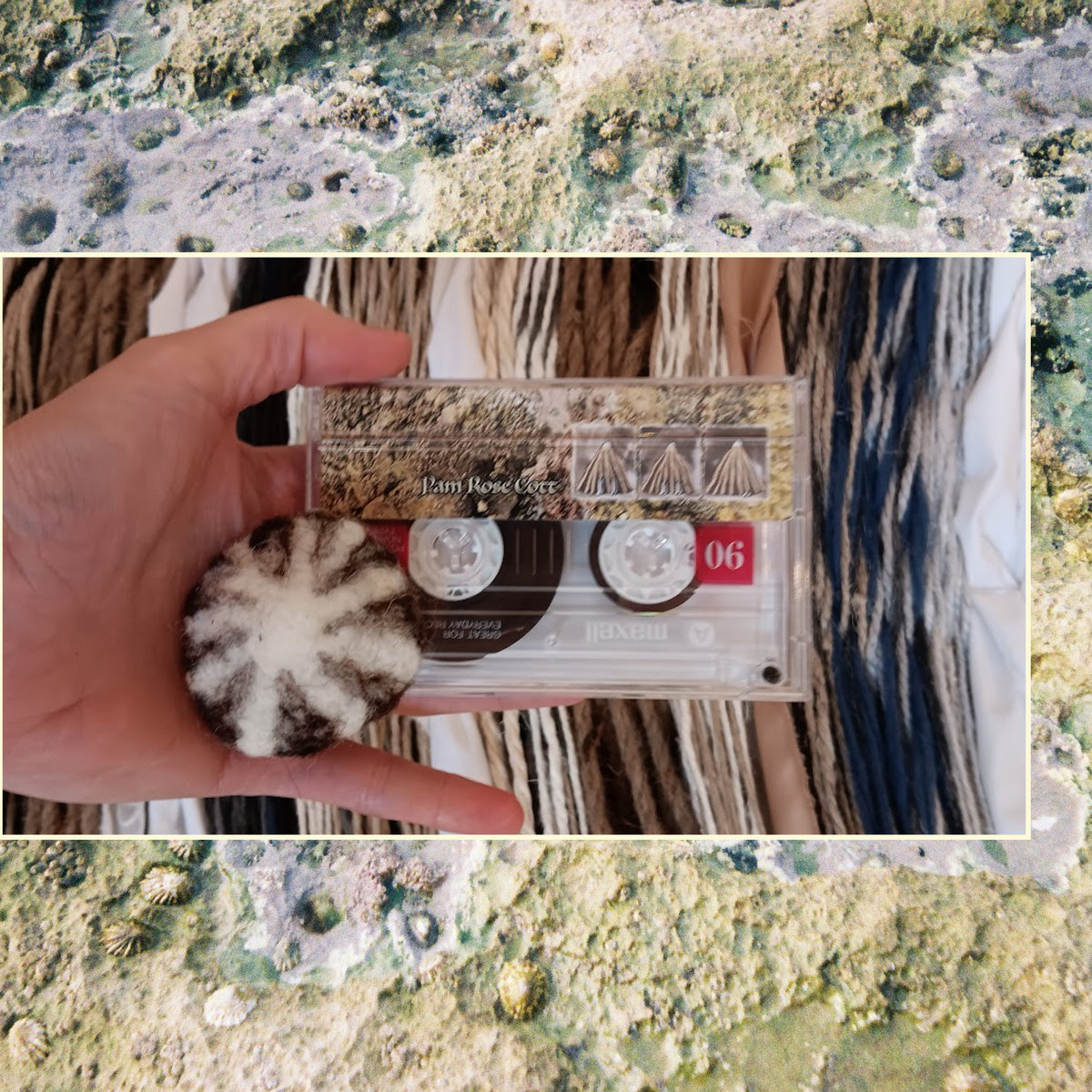 Objects to hide safely inside of: You become the Limpet | Pam Rose Cott