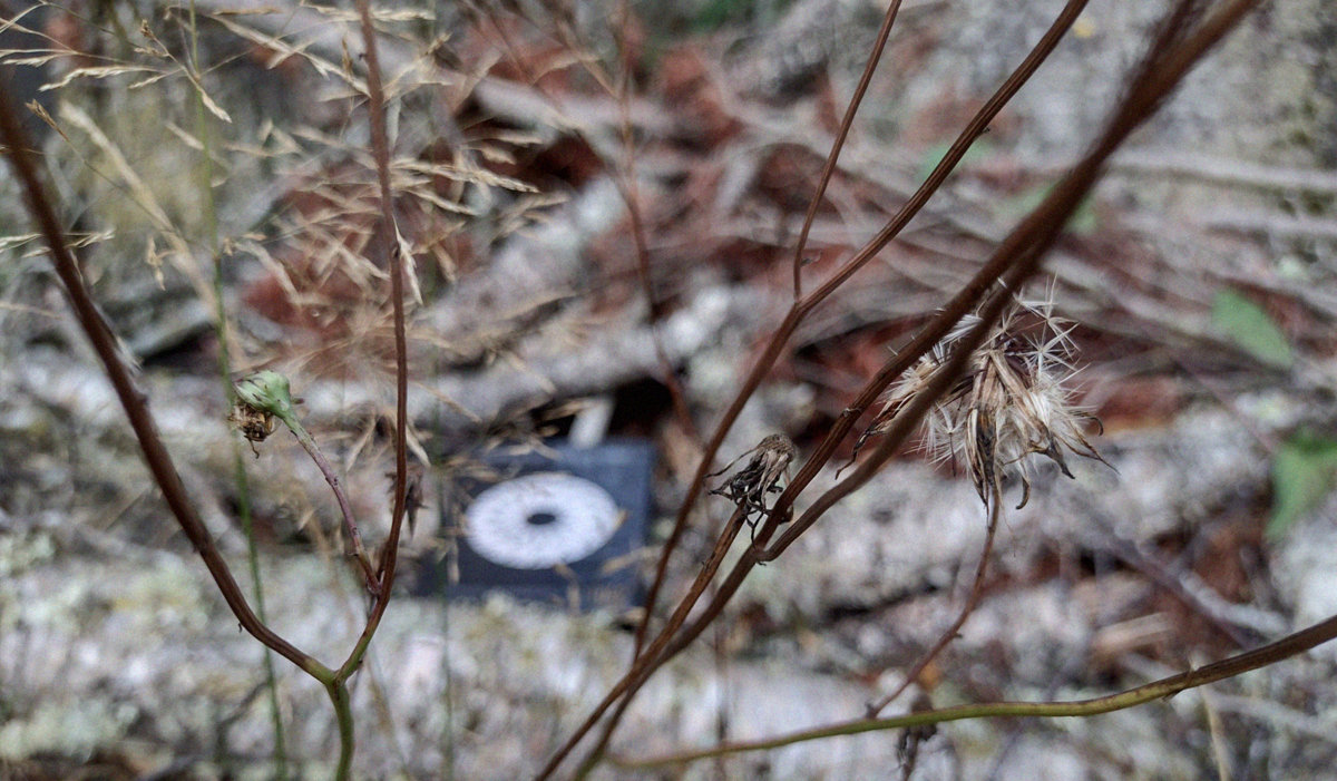 Unus Mundus Patet | Jute Gyte