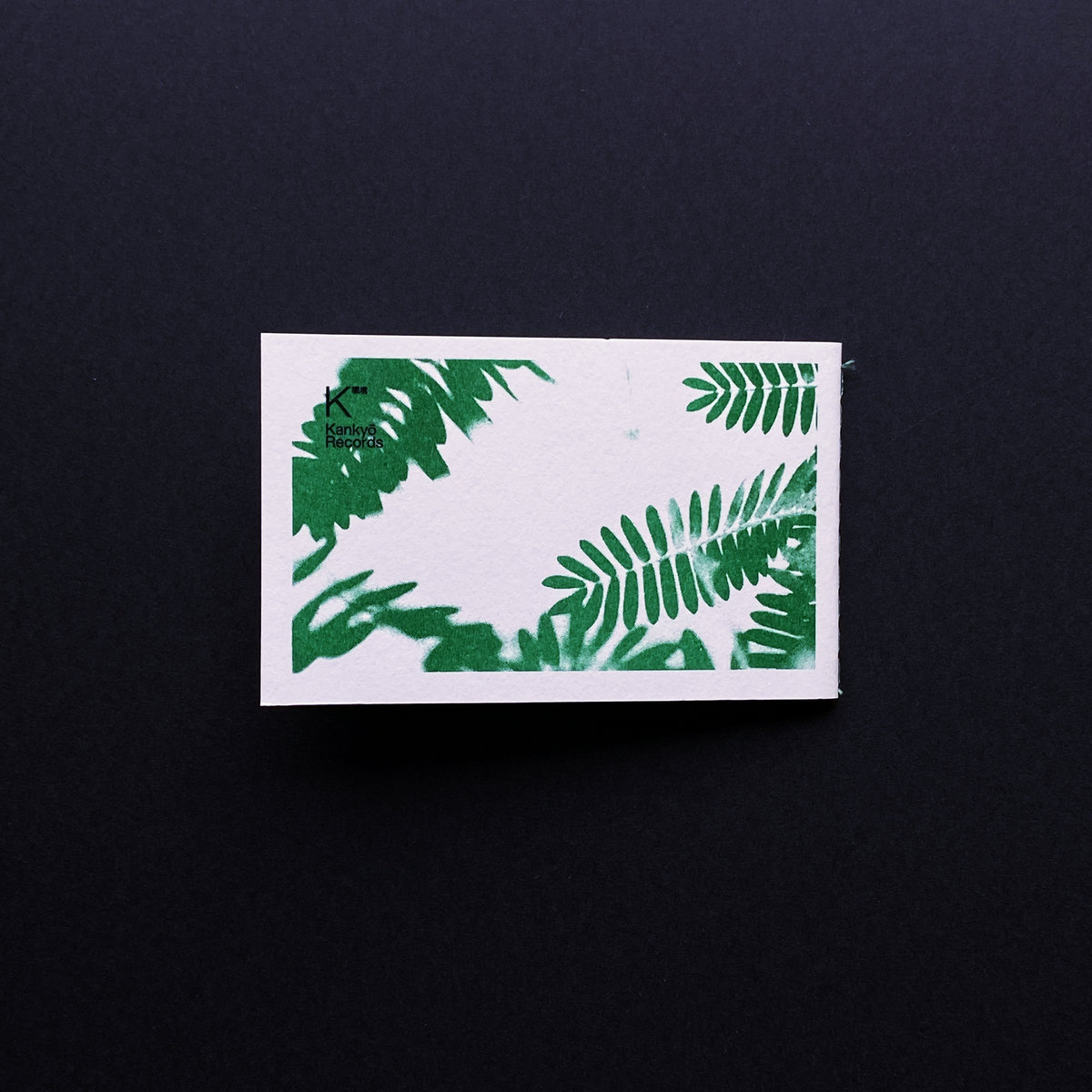 Music For Mimosa Pudica & Codariocalyx | David Edren | Kankyō Records