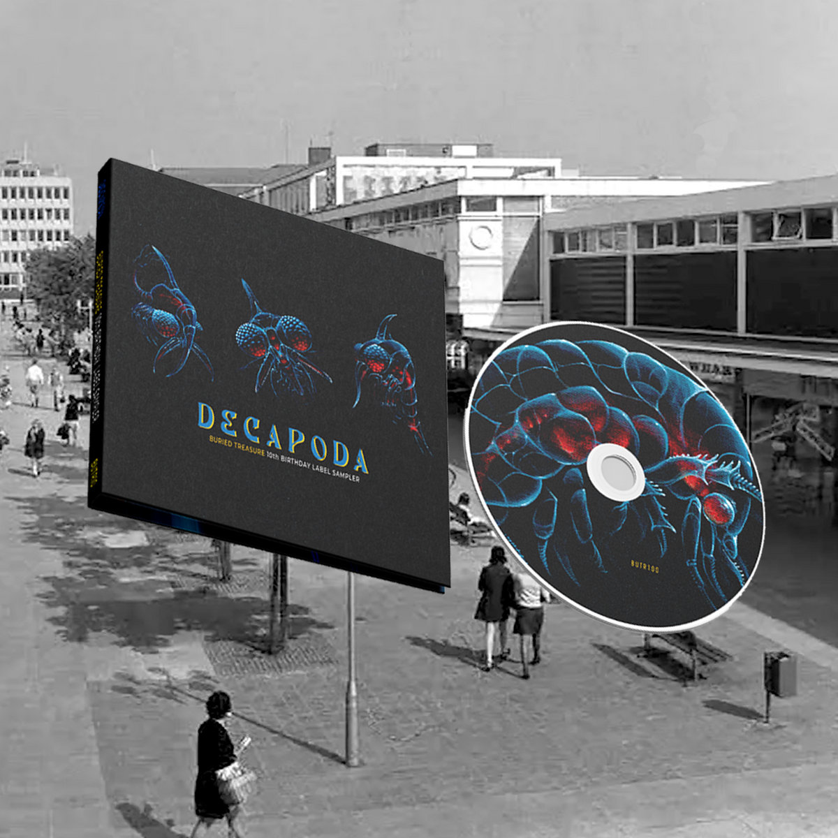 DECAPODA | VARIOUS | Buried Treasure