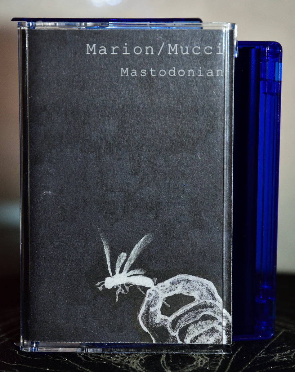 Mastodonian | Marion/Mucci | Tall House Recording Co.
