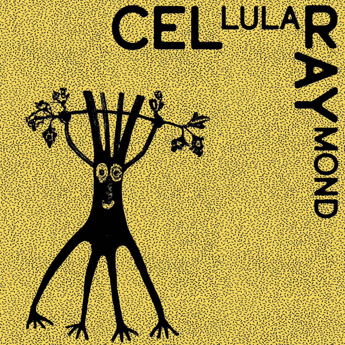 Cellular Raymond | Cel Ray