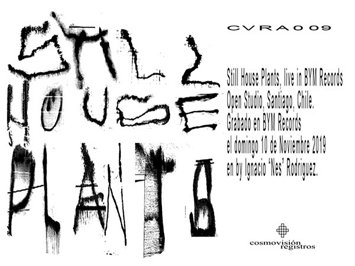 Still House Plants - Live in Open BYM Records | Cosmovisión Registros ...