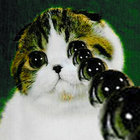 Sounds Like... | Florry