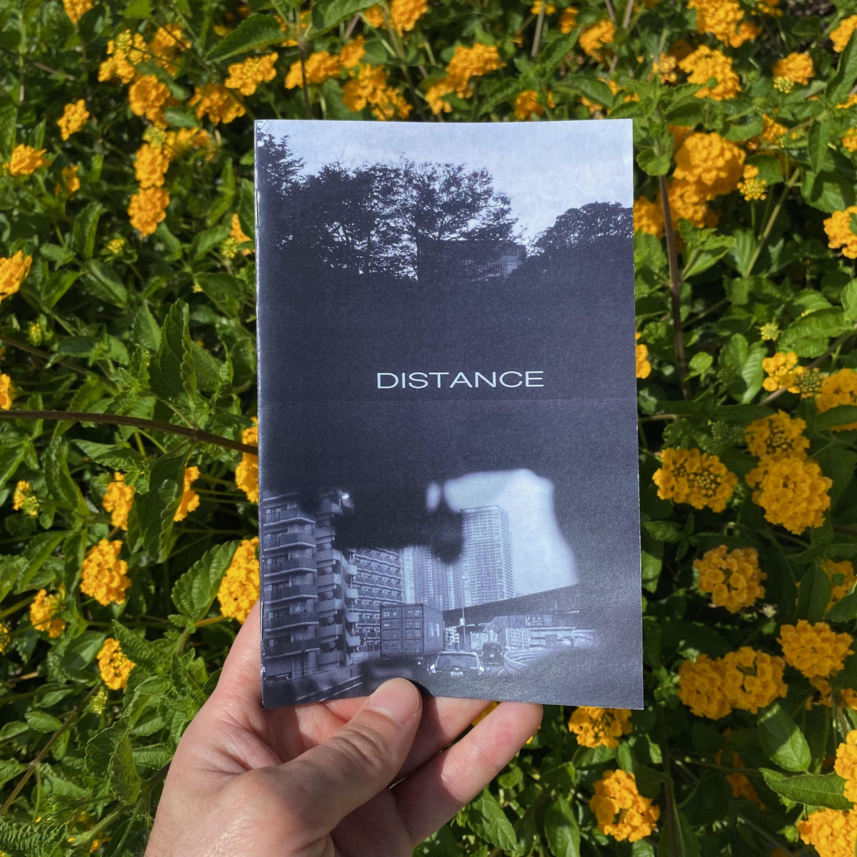 Distance | Ian MacPhee | Already Dead Tapes and Records