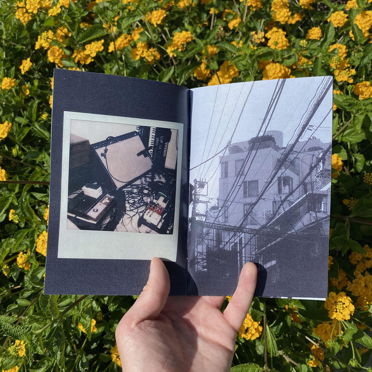 Distance | Ian MacPhee | Already Dead Tapes and Records