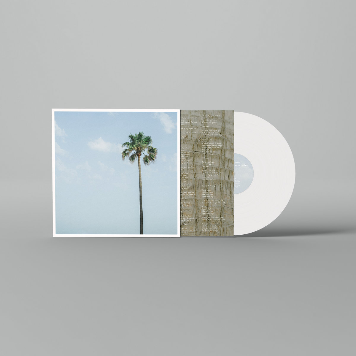 Palm Trees & Blue Skies | Oden Forest