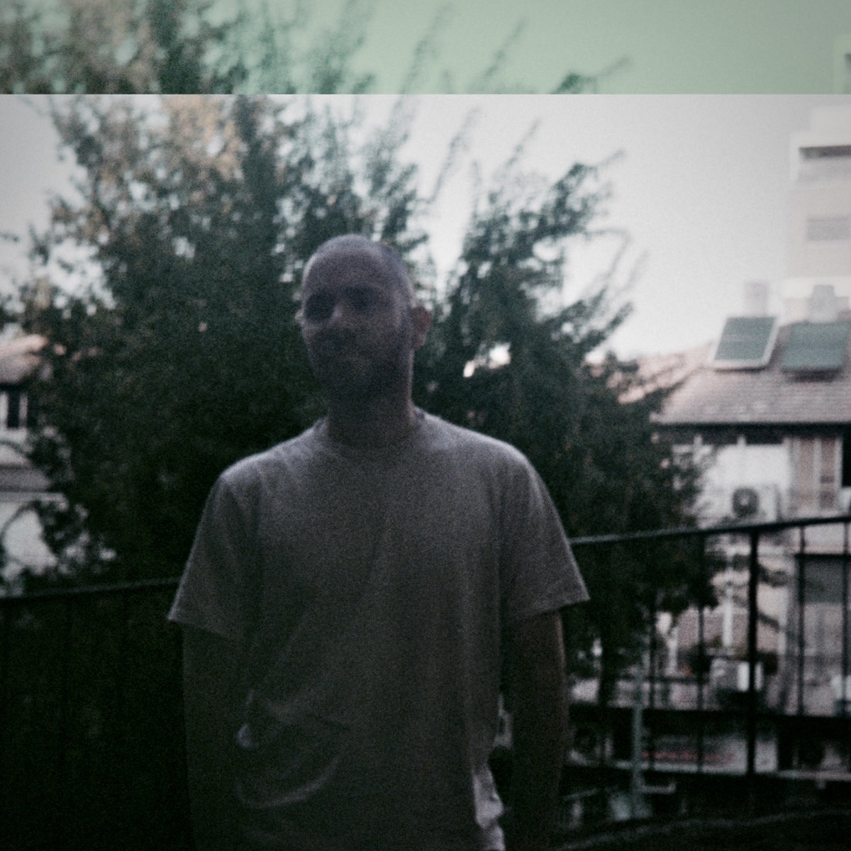 שביל התנים | Iftach Shapira יפתח שפירא