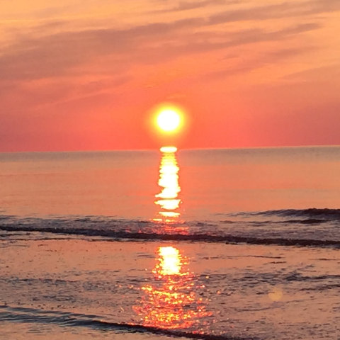 Everybody Came to See the Fire | Pykrete