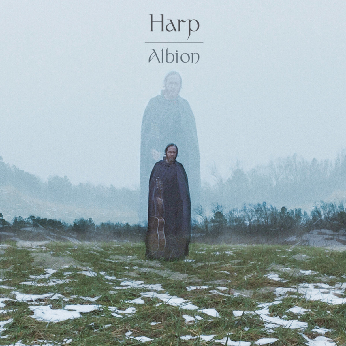 Albion | Harp