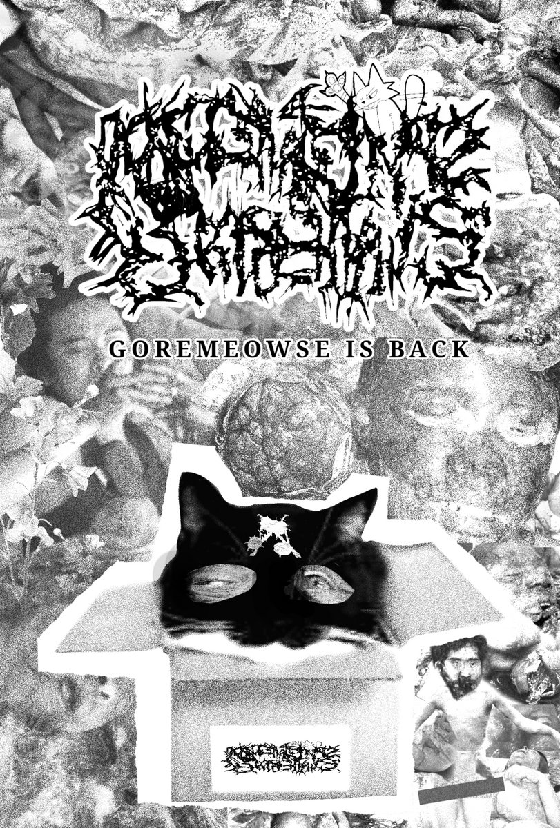 Covered With Seeping Blisters | Liquified Insides | Regurgitating Cat ...