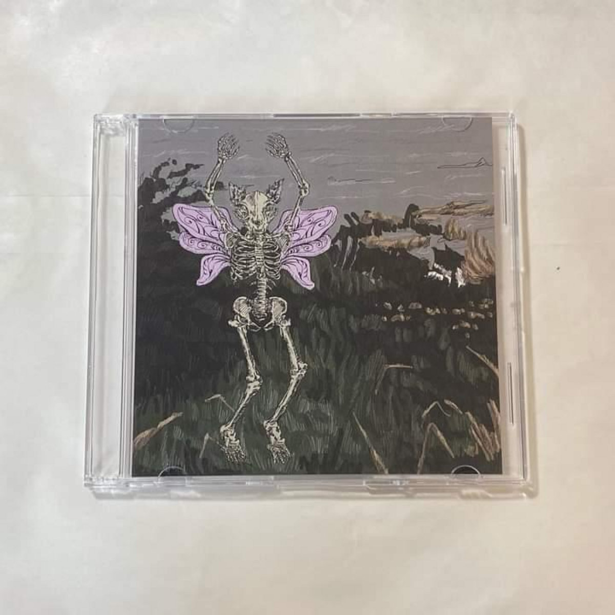 Songs for Bugs (Deluxe Edition) | Cicadahead | Honeysuckle Records