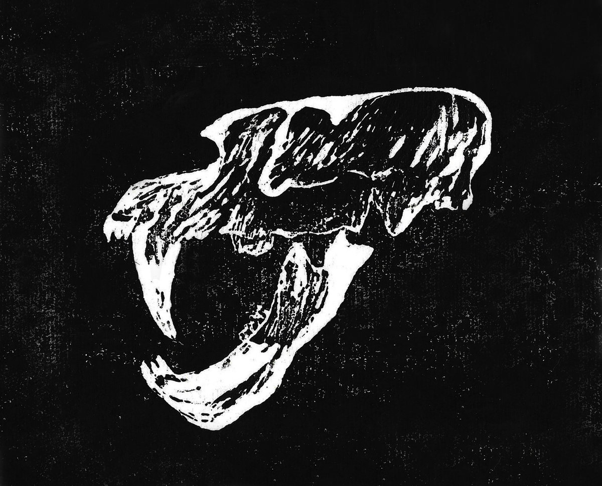 Gathered in the Ancient Woodlands | Ossification