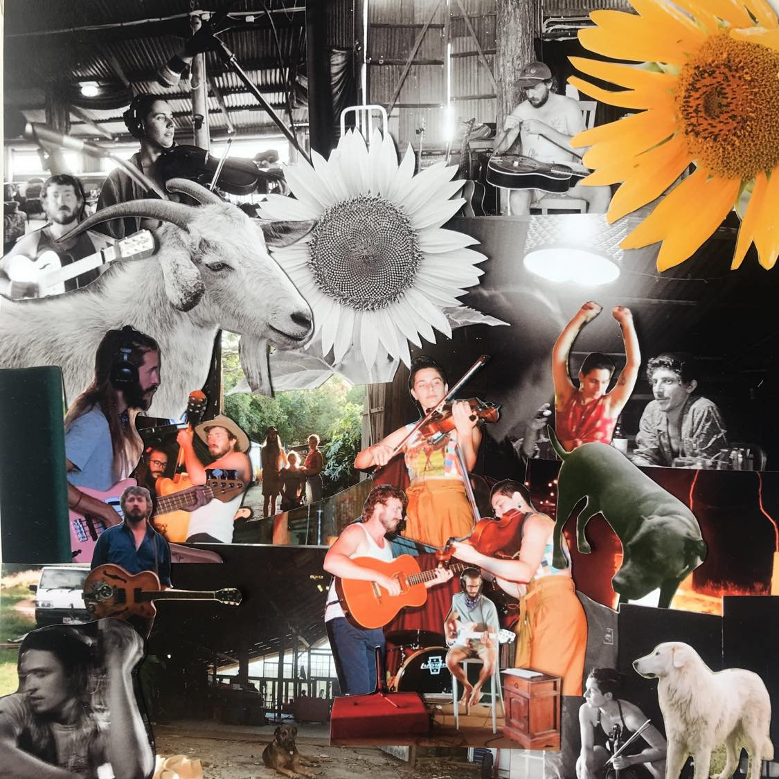 Lessons Of The Rope | Old Semeil