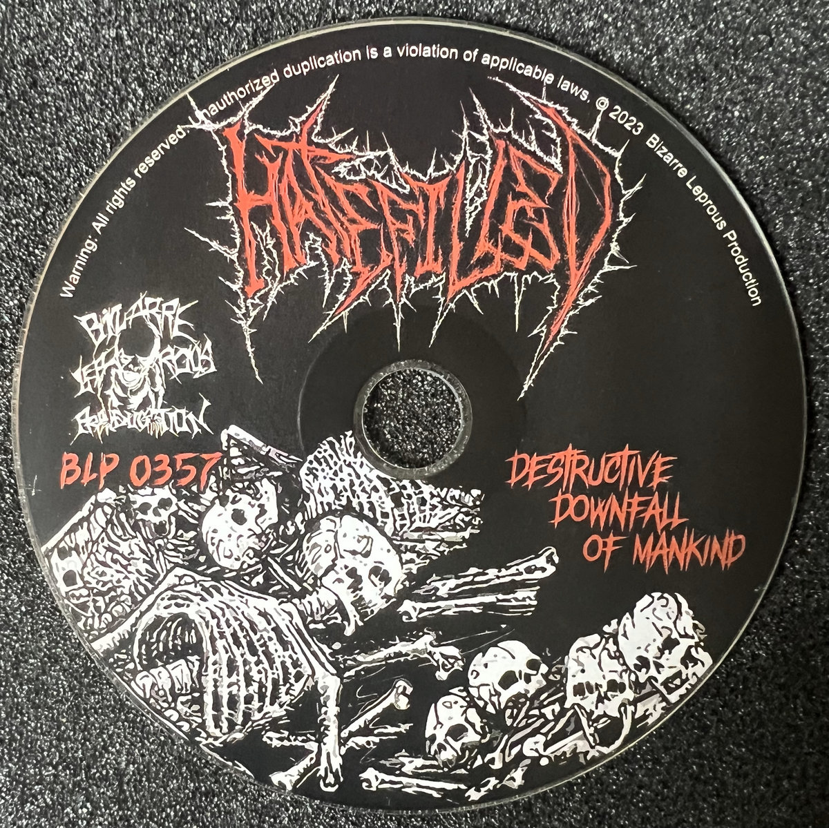 Hatefilled - Destructive Downfall Of Mankind | Disturbed Mind Records