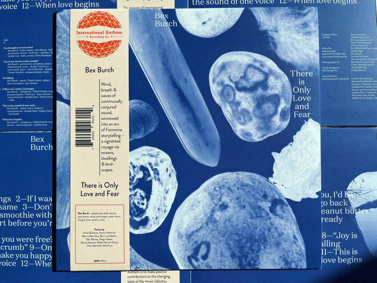 There is only love and fear | Bex Burch | International Anthem