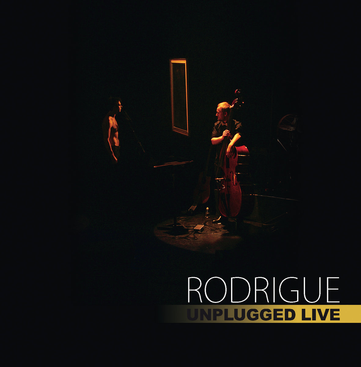 Album - Unplugged Live | RODRIGUE