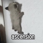 Seven Thunders Roar (Anniversary Deluxe Version) | Stoned Jesus