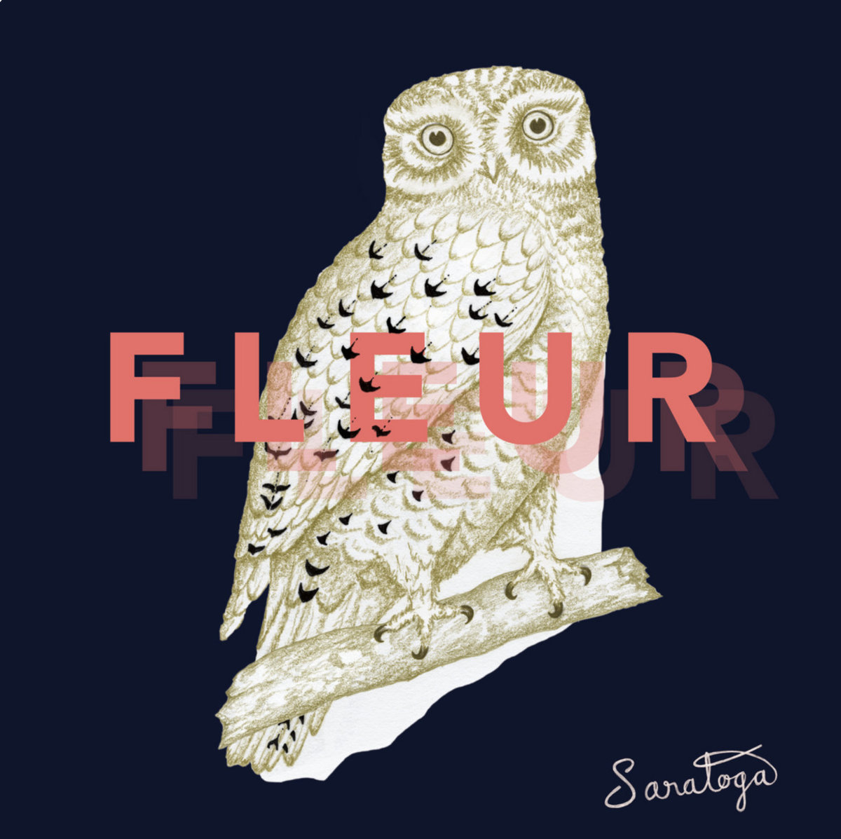 Fleur | Saratoga