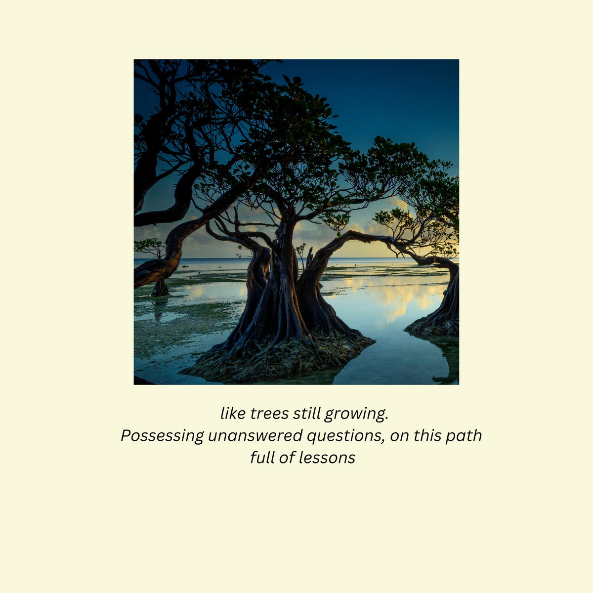 Afterthoughts | Gary Schmidt