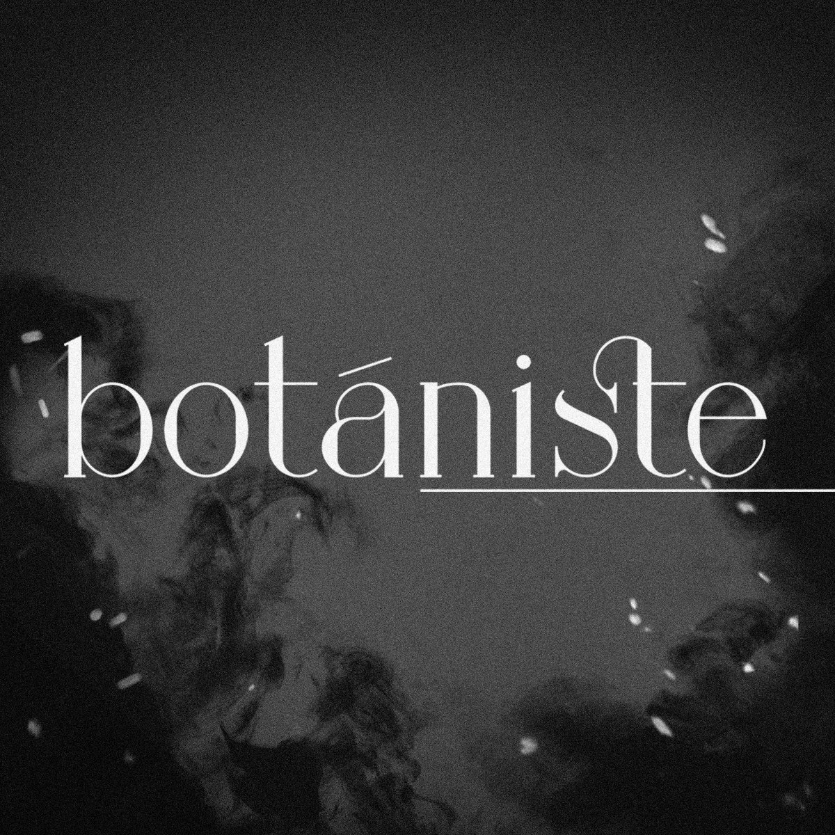 glimpse | botaniste