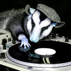 Eaters Volume Two: Light Tiger | Sapient