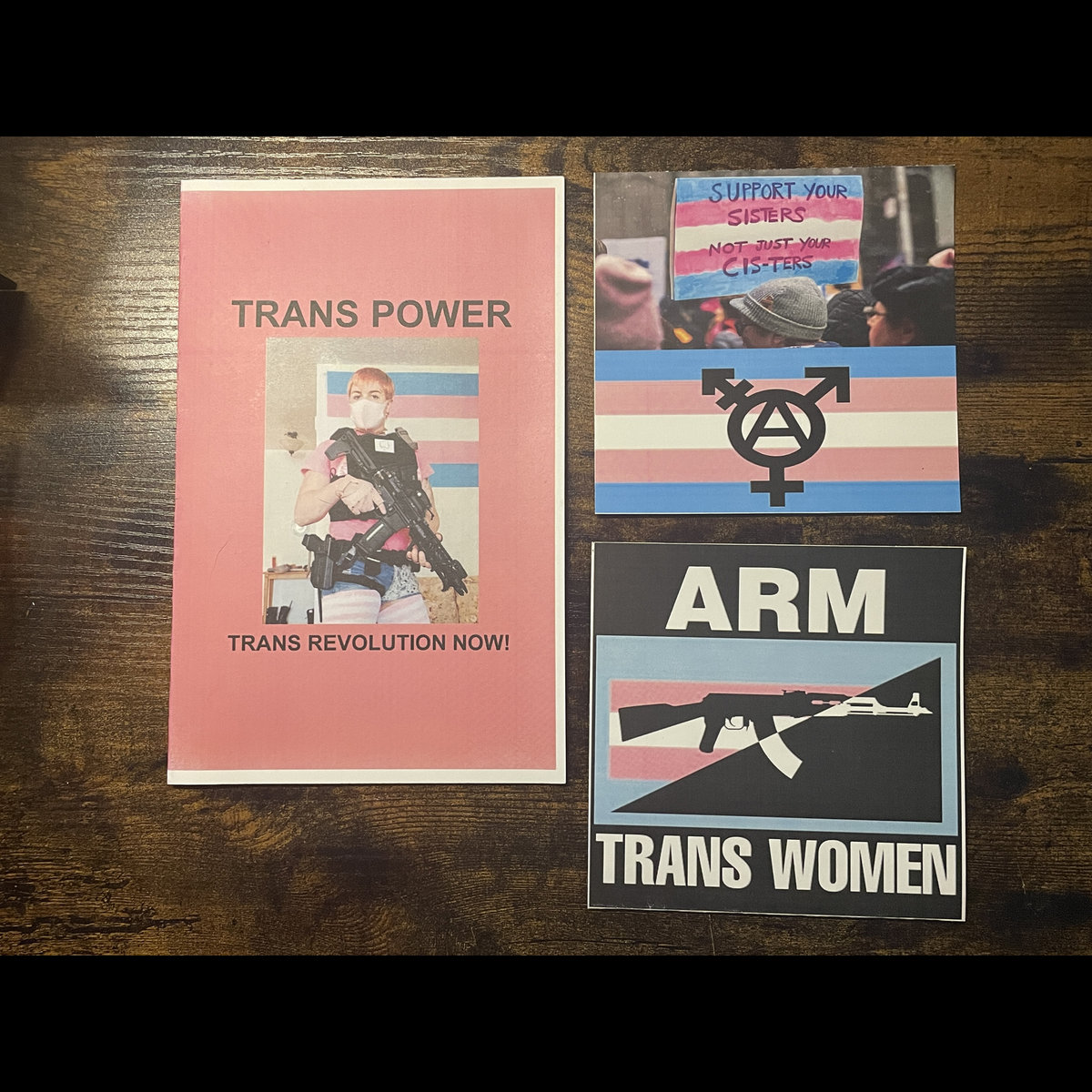 Trans Revolution Now! | Trans Power | Machine Tribe Distribution