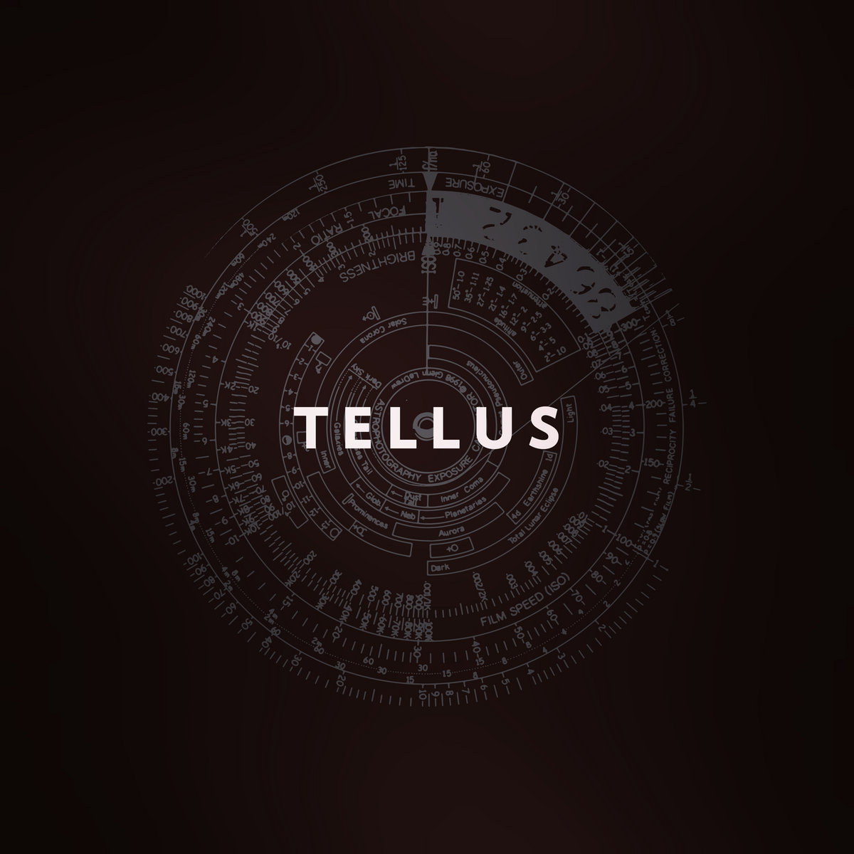 The Tree That Found It Hard To Live | Tellus