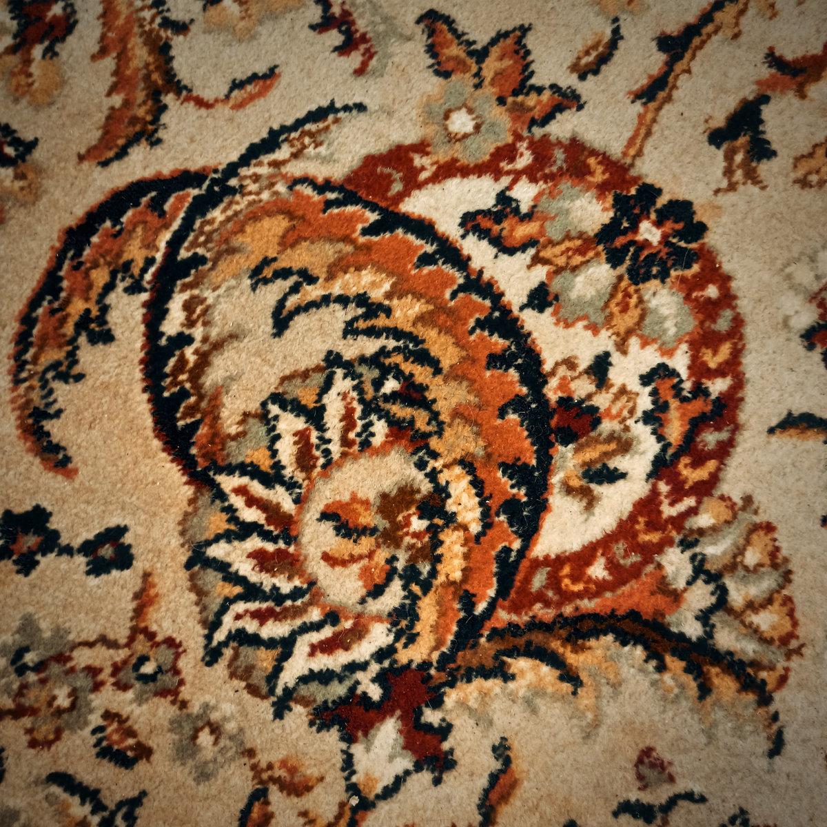 Story Telling Carpet | Story Telling Carpet