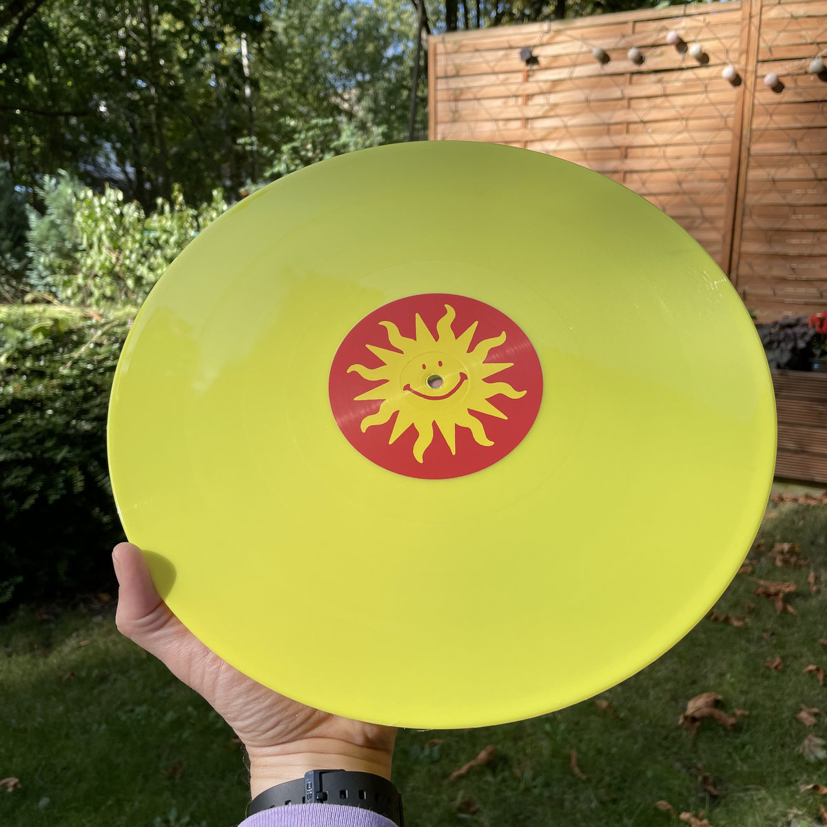 Sunshine Inc. | Biesmans & Johannes Albert | Johannes Albert