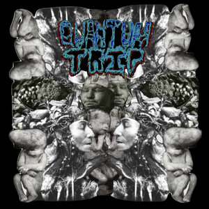 Music | Quantum Trip