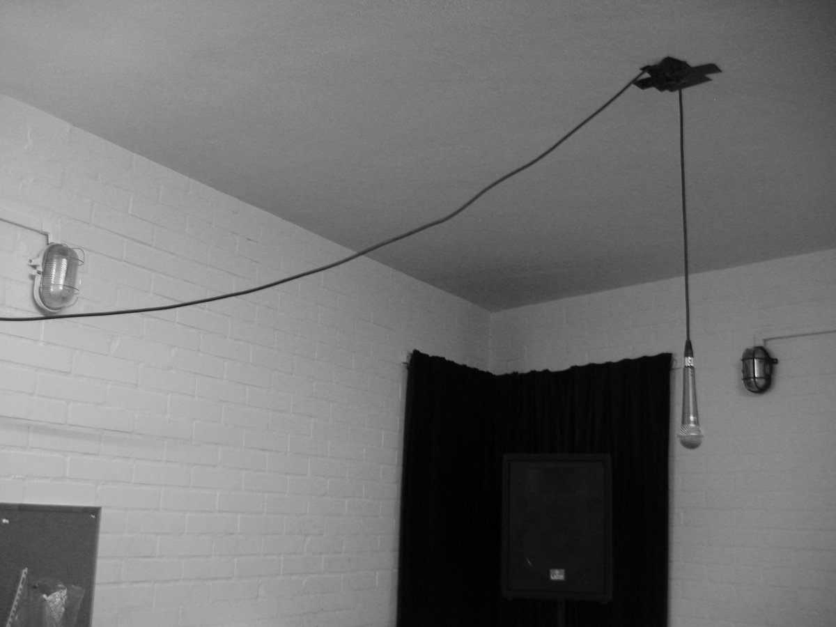 The Flipper Babies | The Flipper Babies