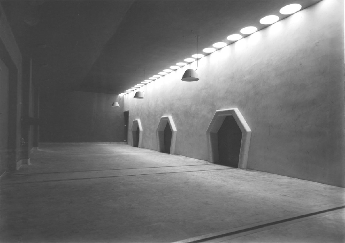 Stars Light The Way | Væn