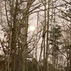 Clann (24 bit) | Solstice