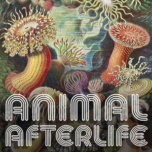 Music | Animal Afterlife