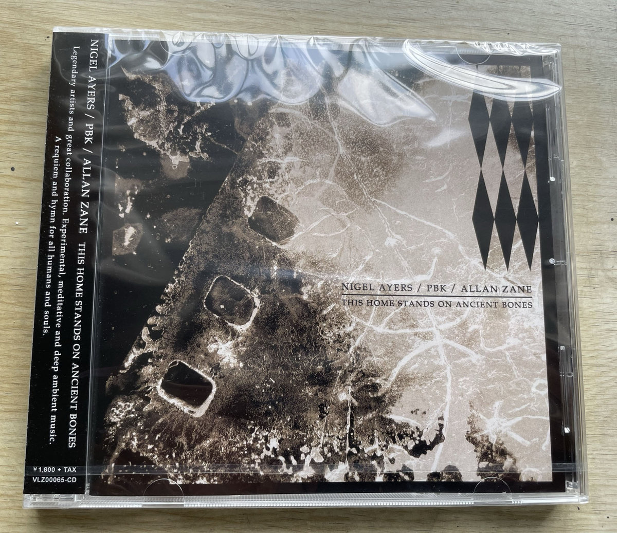 This Home Stands on Ancient Bones | Nigel Ayers / PBK / Allan Zane ...