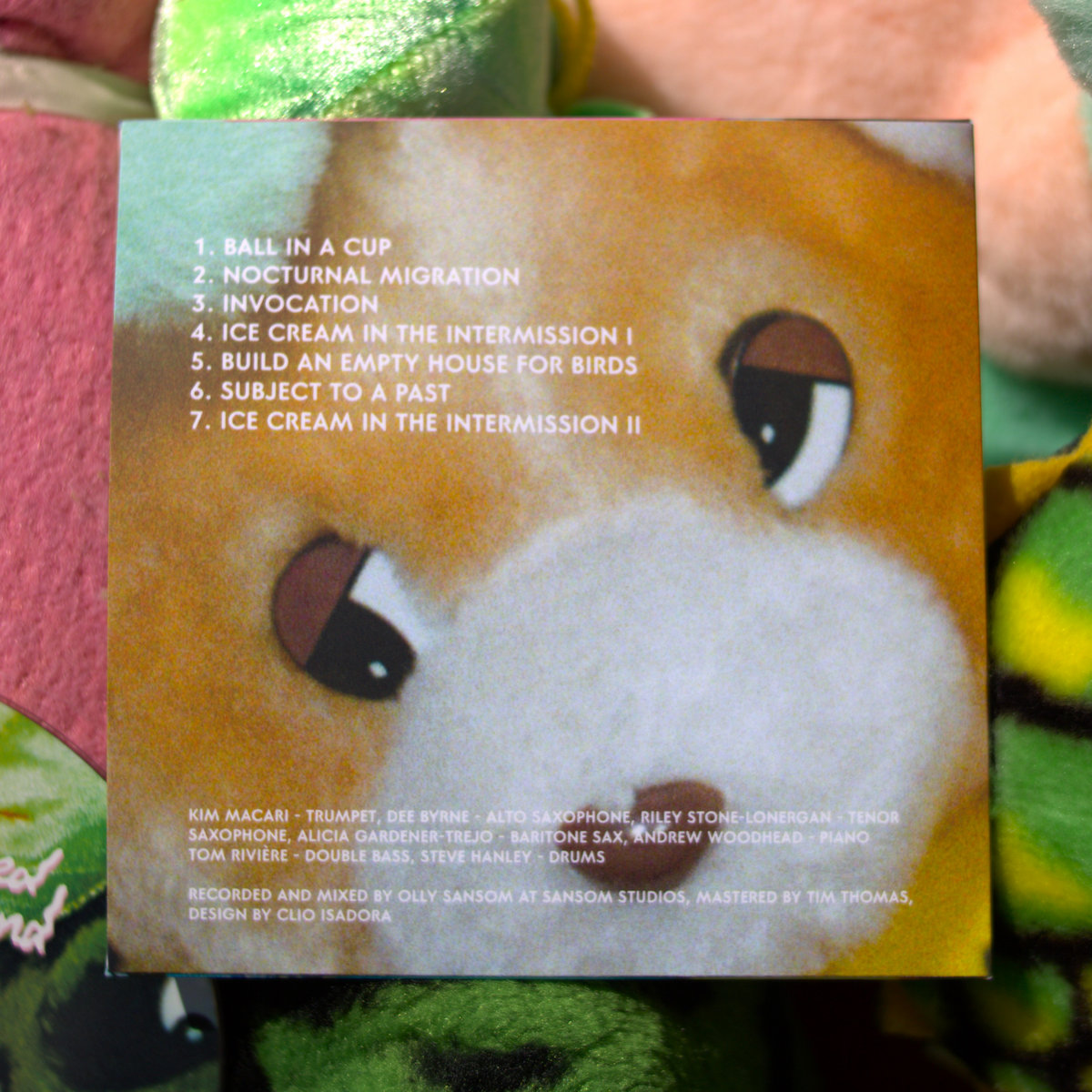 The Plush Album | Extended Family Band | Tom Rivière