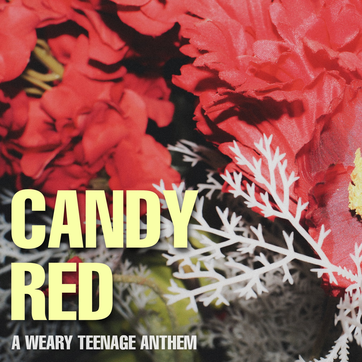 A WEARY TEENAGE ANTHEM | CANDY RED