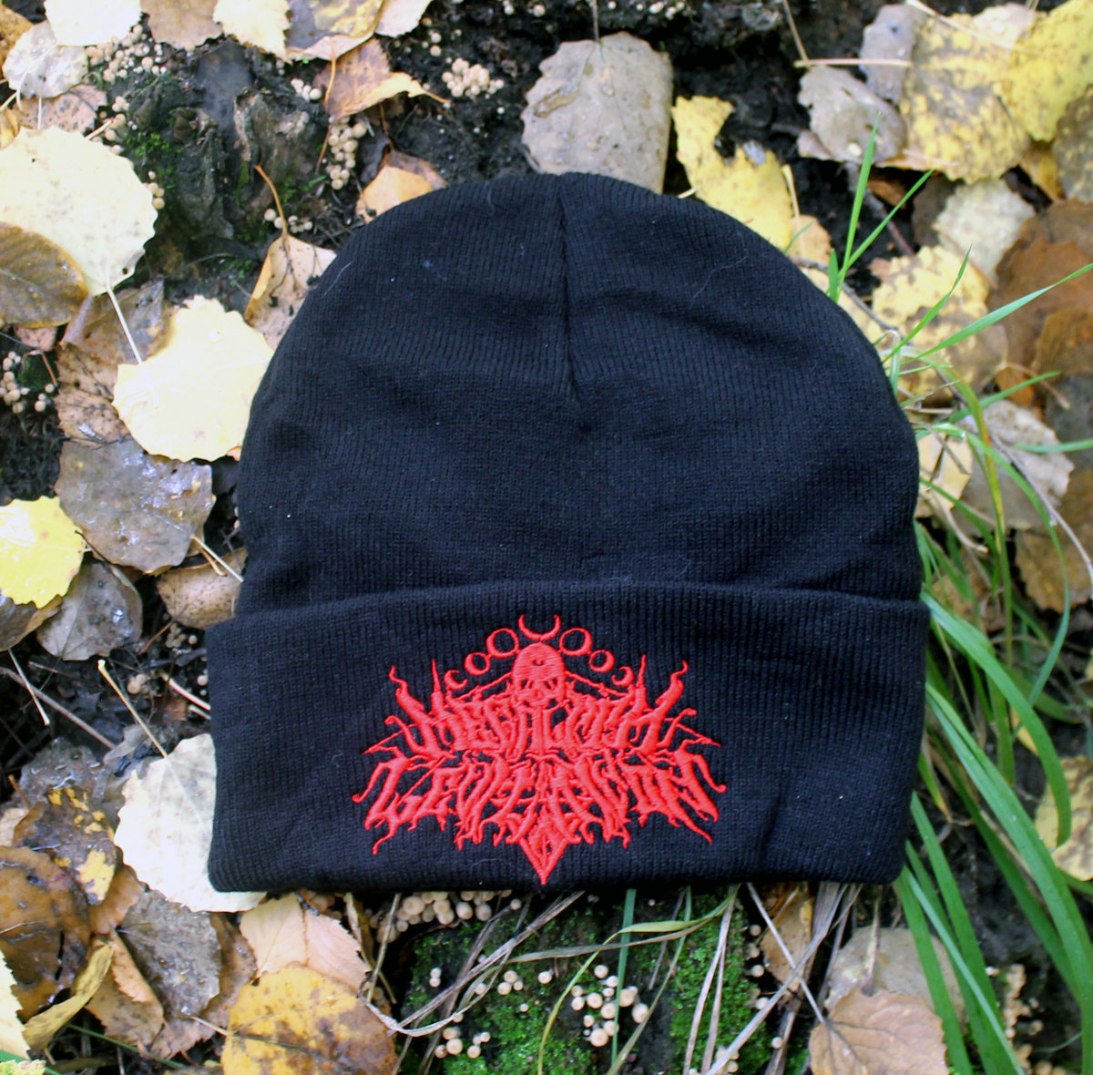 Megalith Levitation Beanie | Megalith Levitation