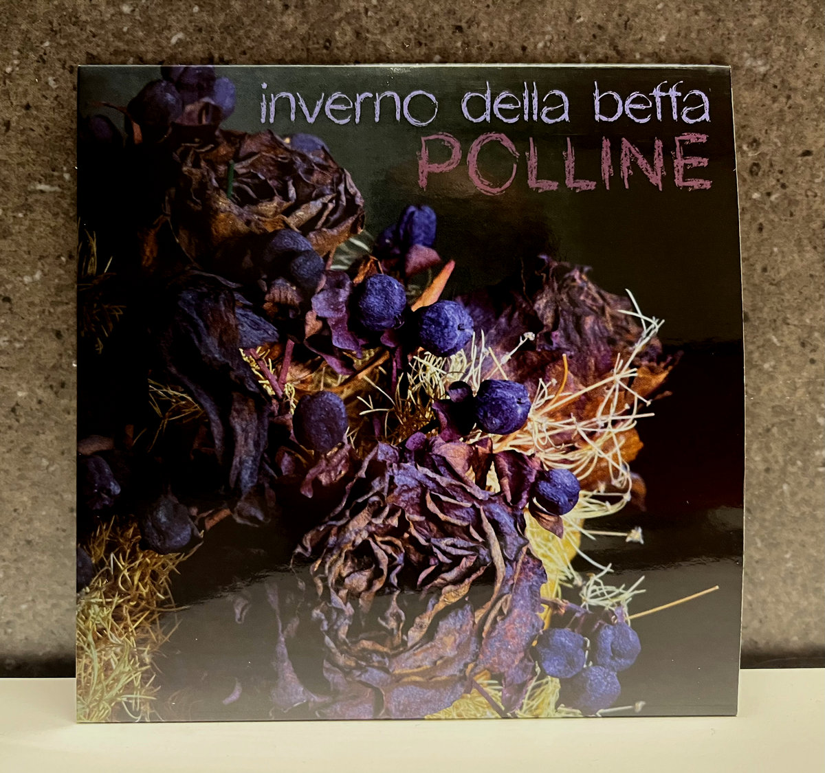 Polline | Inverno Della Beffa